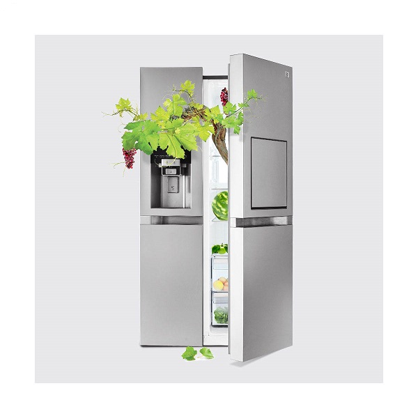 یخچال فریزر دوو مدل D5S-1037MW | جاوید کالا